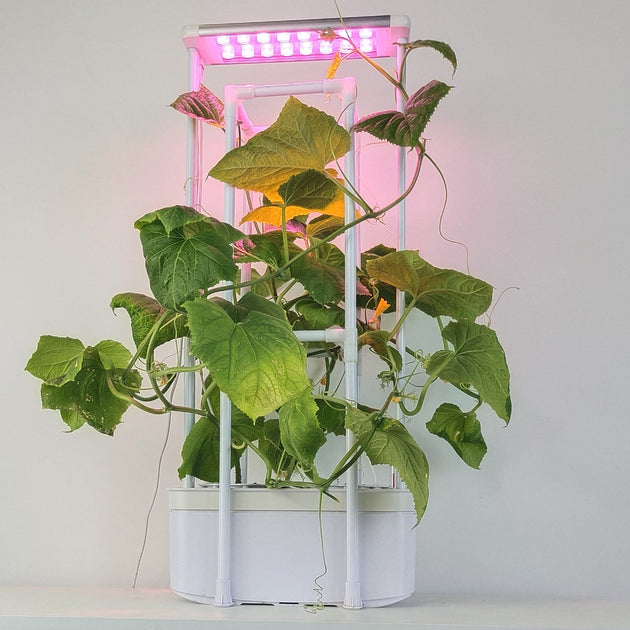 What Is The LED Grow Light? – koniea